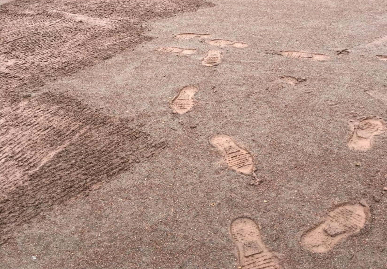 How to Prepare Your Ballfield Before and After a Rain Event – The ...